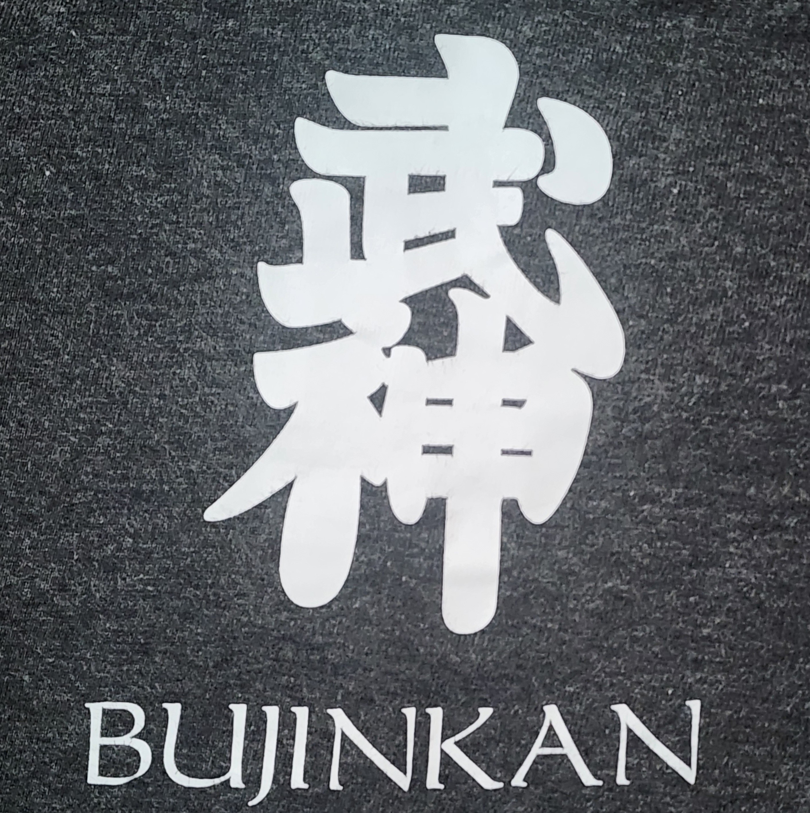 The Bujinkan, as I see it – Series 1, Part 1 – Mundane Budo